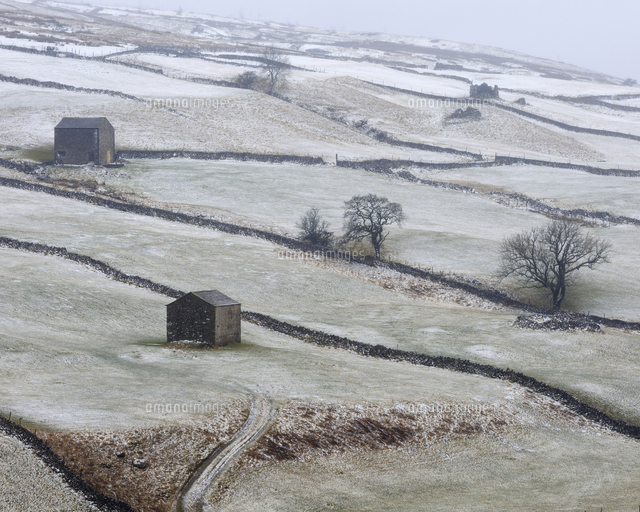 England, Yorkshire, Langstrothdale. Barns and fields in winter ...