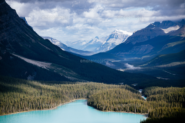 Peyto Lake with Mount Patterson - Canada, Alberta, Banff National Park ...