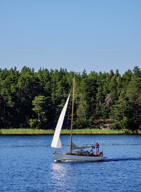 Sailboat at the Lake Malar, Stockholm, Stockholm County, Sweden ...