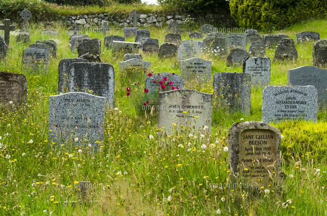 Gravestones in Manaton church cemetrery on Dartmoor National Park ...