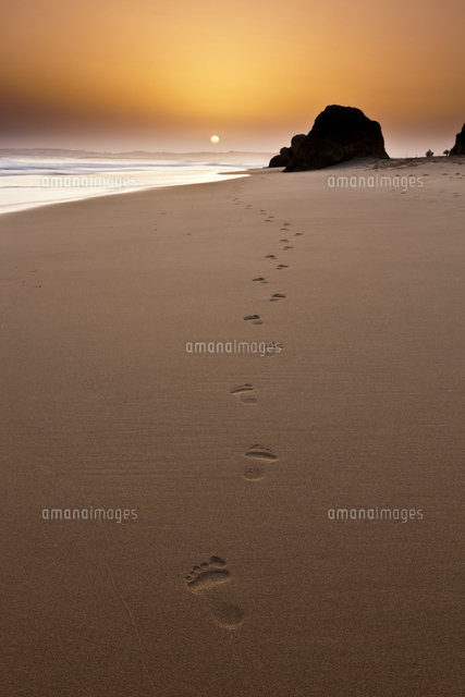 Footsteps left behind in the sand at sunset.[20089010992]の写真素材・イラスト素材 ...