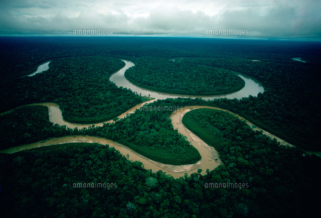 Rio Manu, home to arguably the highest concentration of biodiversity on ...