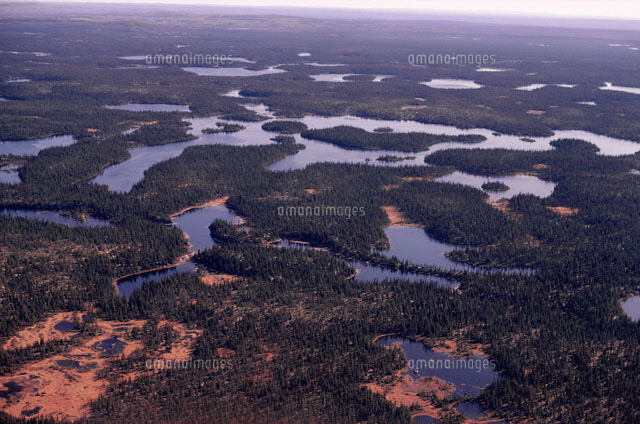 Forests and lakes of the Canadian Shield. Quebec. Canada.[22001000376]の ...