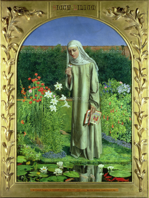 Convent Thoughts by Collins[22040006113]の写真素材・イラスト素材｜アマナイメージズ