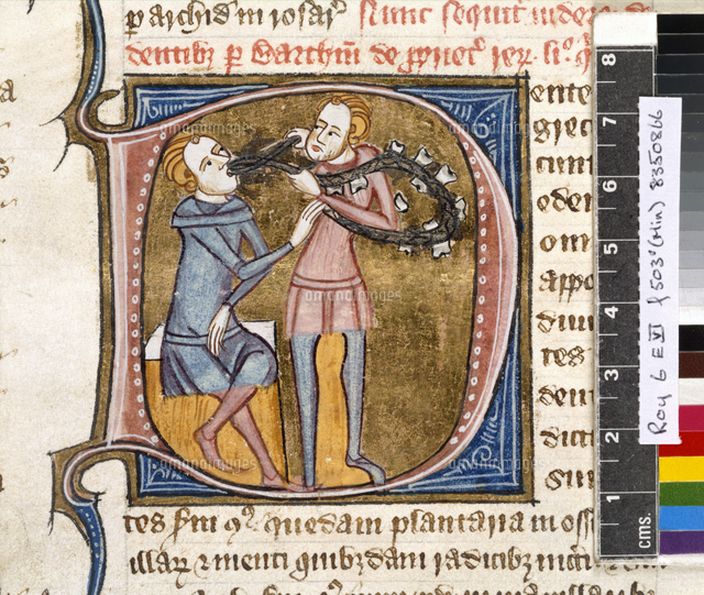 Ms Roy 6 E VI fol.503v Inhabited initial 'D' showing a denti ...