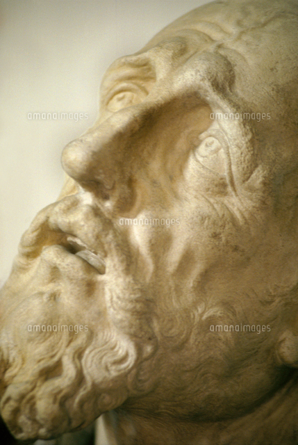 St. Francis receiving the stigmata, detail of the head, c.15 ...