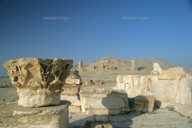 The Valley of the Tombs, or Western Necropolis[22040104790]の写真素材・イラスト素材 ...