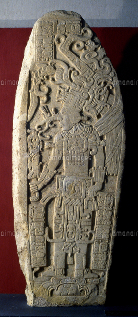 Machaquila Stela 7, Late Classic Period, 830 AD[22040106790]の写真素材・イラスト ...