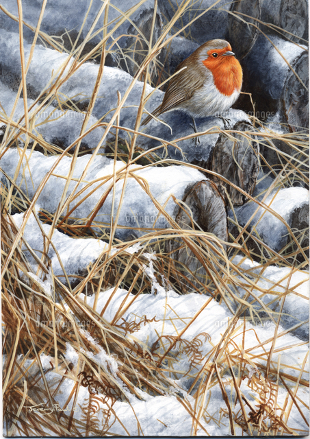 Log Pile - Robin, 2004[22040106936]の写真素材・イラスト素材｜アマナイメージズ