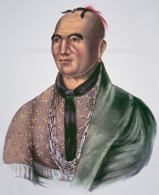 Joseph Brant[22040158544]の写真素材・イラスト素材｜アマナイメージズ