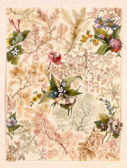 Marble end paper[22040183557]の写真素材・イラスト素材｜アマナイメージズ