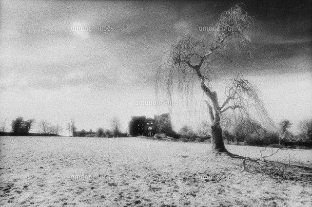 Castle Daly, County Galway[22040200067]の写真素材・イラスト素材｜アマナイメージズ
