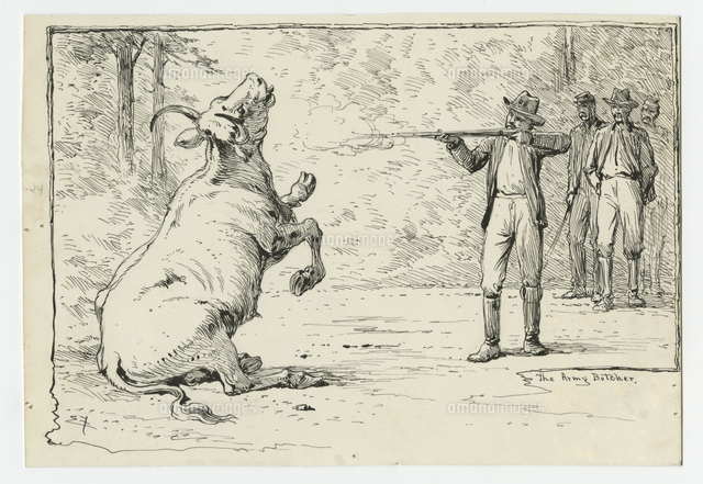 The Army Butcher, illustration from 'Thirty Years After: An[22040205177 ...
