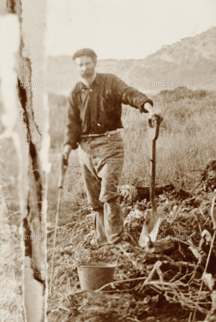 Albir Trail on the gumfields of Mangawai[22040208651]の写真素材・イラスト素材｜アマナイメージズ