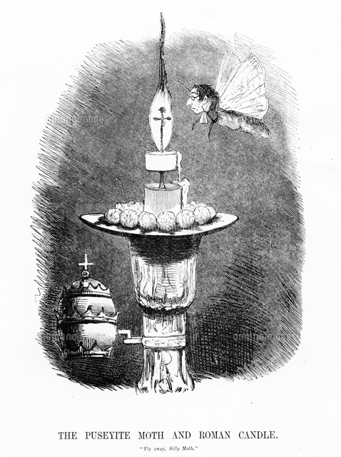 The Puseyite Moth and the Roman Candle, illustration from 'P ...