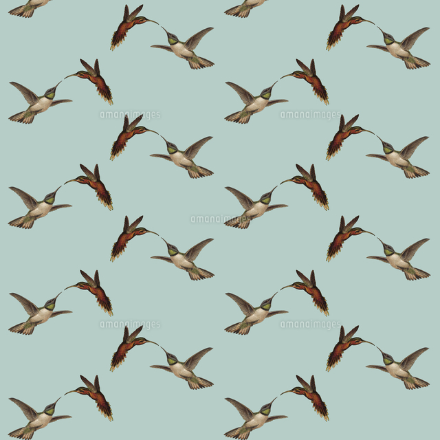 Repeating Pattern - Birds[22048001471]の写真素材・イラスト素材｜アマナイメージズ