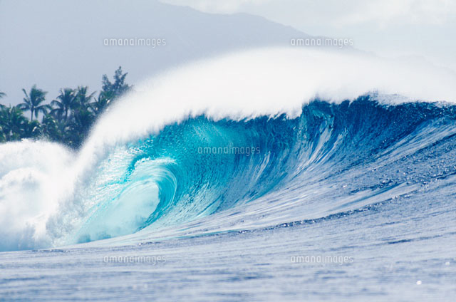 Perfect wave at Pipeline[22157007125]の写真素材・イラスト素材｜アマナイメージズ