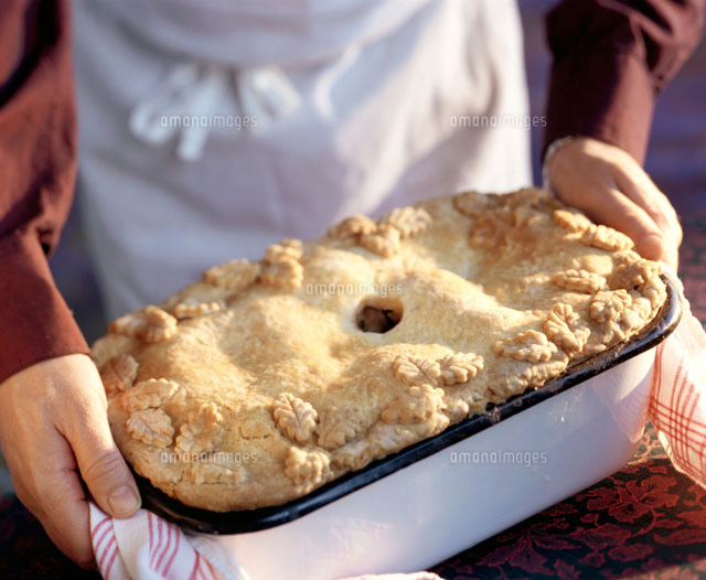 Game pie[22199024300]の写真素材・イラスト素材｜アマナイメージズ