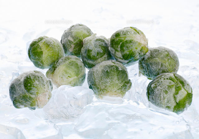 Frozen Brussels sprouts on ice[22199034335]の写真素材・イラスト素材｜アマナイメージズ
