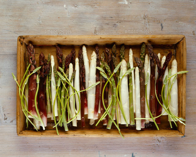 Red. white and wild asparagus[22199046909]の写真素材・イラスト素材｜アマナイメージズ
