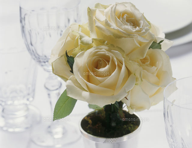 Posy of white roses on laid table[22199048970]の写真素材・イラスト素材｜アマナイメージズ