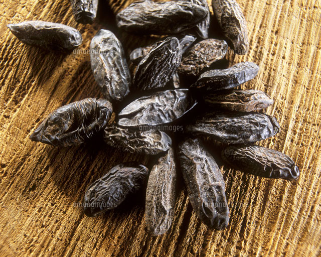 Tonka beans (African spice)[22199050731]の写真素材・イラスト素材｜アマナイメージズ