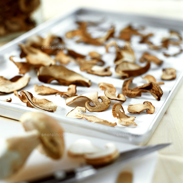 Sliced ceps laid out to dry[22199051044]の写真素材・イラスト素材｜アマナイメージズ