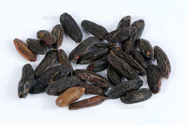 Tonka beans (African spice)[22199055646]の写真素材・イラスト素材｜アマナイメージズ