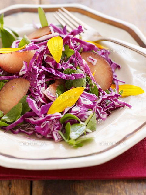 Red cabbage salad with plums[22199059185]の写真素材・イラスト素材｜アマナイメージズ