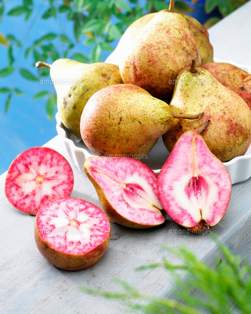 Pink-fleshed pears (Blood pears)[22199060623]の写真素材・イラスト素材｜アマナイメージズ
