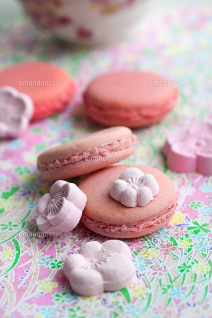Macaroons and sugar flower rakugan (Japanese sweets)[22199071339]の写真素材 ...