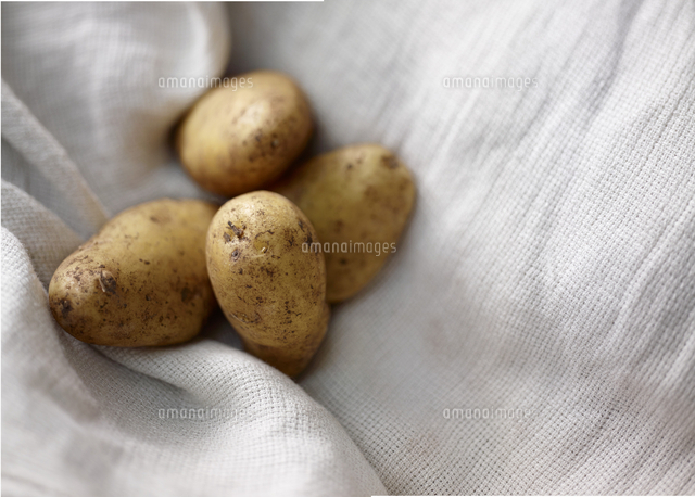 Four potatoes on muslin[22199077727]の写真素材・イラスト素材｜アマナイメージズ