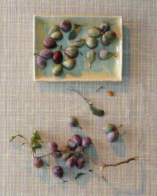 Ripe and unripe plums (view from above)[22199078517]の写真素材・イラスト素材｜アマナイメージズ