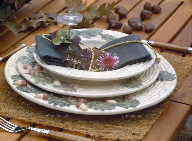 Acorn-patterned crockery with napkin decoration for autumn[22199089998 ...