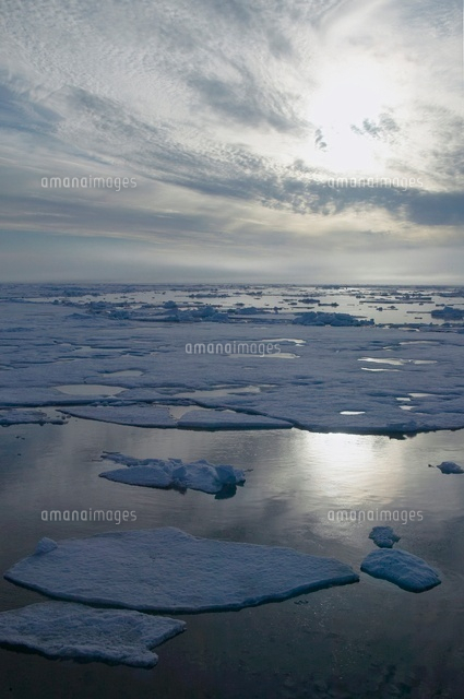 Polar sea in fog with ice-floes, western Svalbard coast[22206003419]の写真 ...