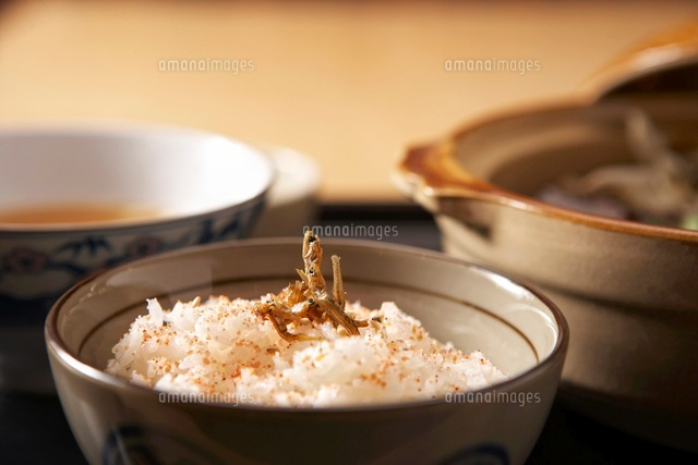 Anchovy,Rice Dish,Korean Food[22215001753]の写真素材・イラスト素材｜アマナイメージズ