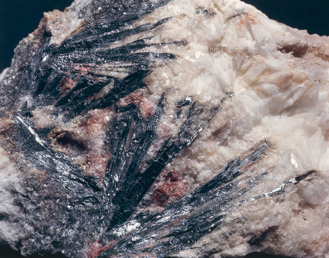 Close up of sibnite[22907002208]の写真素材・イラスト素材｜アマナイメージズ