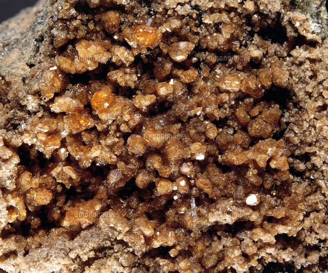 Close up of humite[22907002382]の写真素材・イラスト素材｜アマナイメージズ