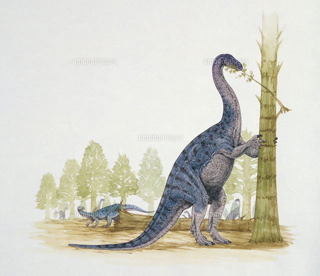 Euskelosaurus eating leaves[22907003439]の写真素材・イラスト素材｜アマナイメージズ
