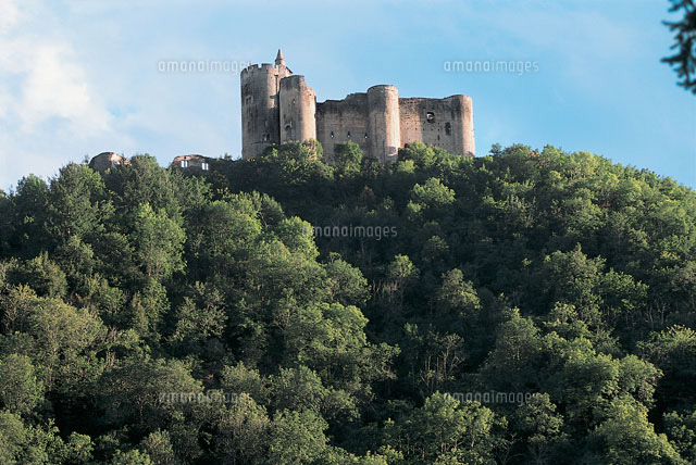 Low angle view of a castle[22907005388]の写真素材・イラスト素材｜アマナイメージズ