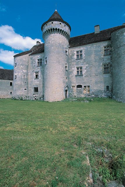 Low angle view of a castle[22907005563]の写真素材・イラスト素材｜アマナイメージズ