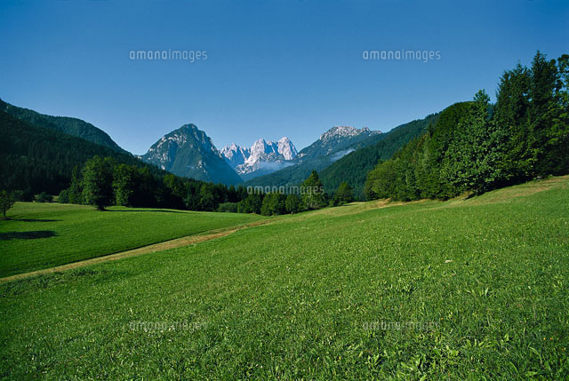 Forest and pasture in front of mountains[22907006316]の写真素材・イラスト素材｜アマナイメージズ