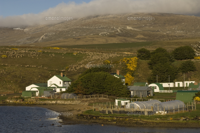 Port Howard Settlement. The settlement is situated[32246003470]の写真素材 ...