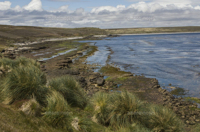 Peninsula of Cape Dolphin. Cape Dolphin designated[32246003849]の写真素材 ...