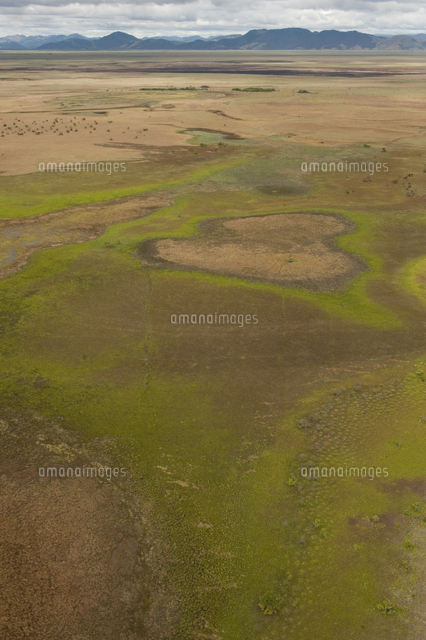 Seasonally flooded Savannah North Rupununi GUYANA[32246009618]の写真素材 ...