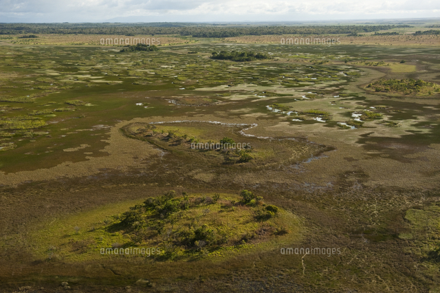 Seasonally flooded Savannah North Rupununi GUYANA[32246009670]の写真素材 ...
