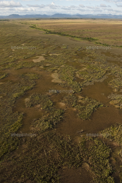 Seasonally flooded Savannah North Rupununi GUYANA[32246009698]の写真素材 ...