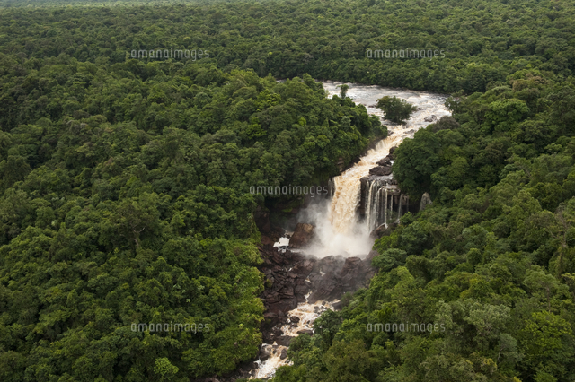 Amaila Falls on the Kuribrong River Rainforest GUY[32246009724]の写真素材 ...