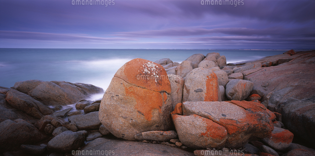 Granite Point in the evening. Bridport, Tasmania, Australia[32273000268 ...
