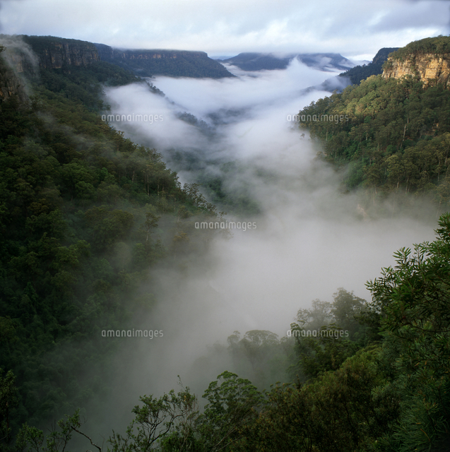 Yarrunga Valley with termperate ranforest in mist Morton Na[32273001645 ...